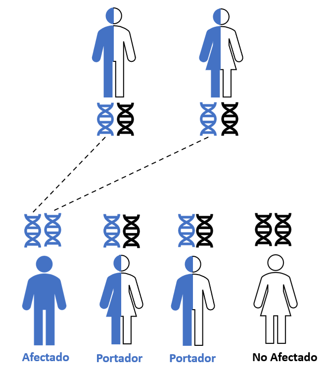 El Parkinson y la genética - PD Nexus